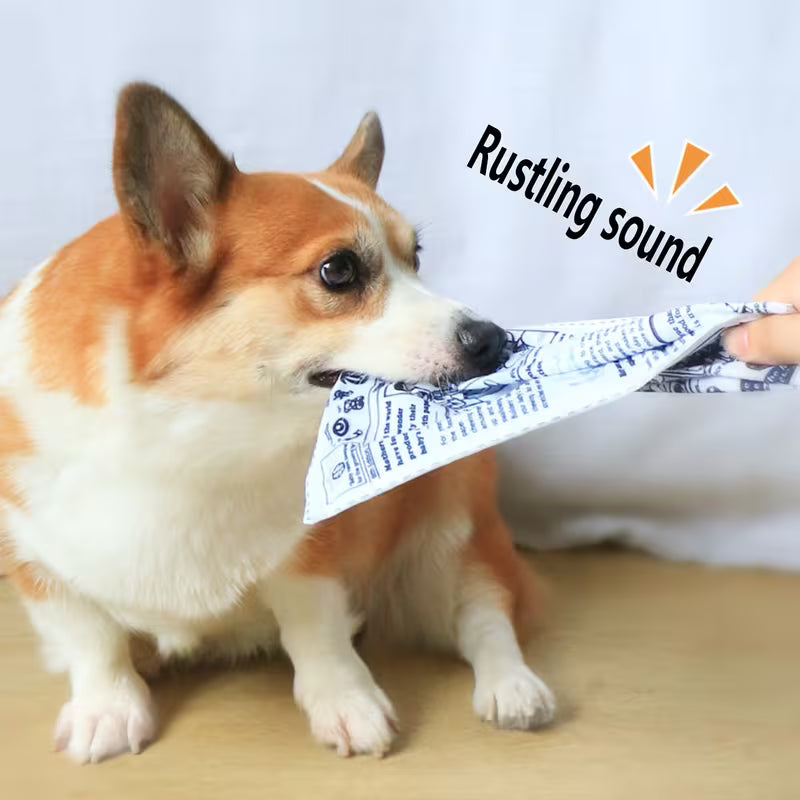 Newspaper Crinkle Dog Enrichment Toy | Soft Fabric Rustle Toy – Amy's ...